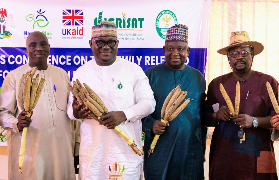 HarvestPlus, ICRISAT, LCRI Unveil Iron Rich Varieties Millets In Kano ...